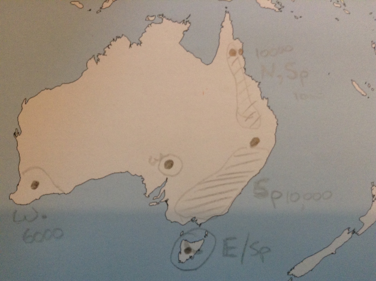 Quolls and Tasmanian Devils. – World Wildlife Info