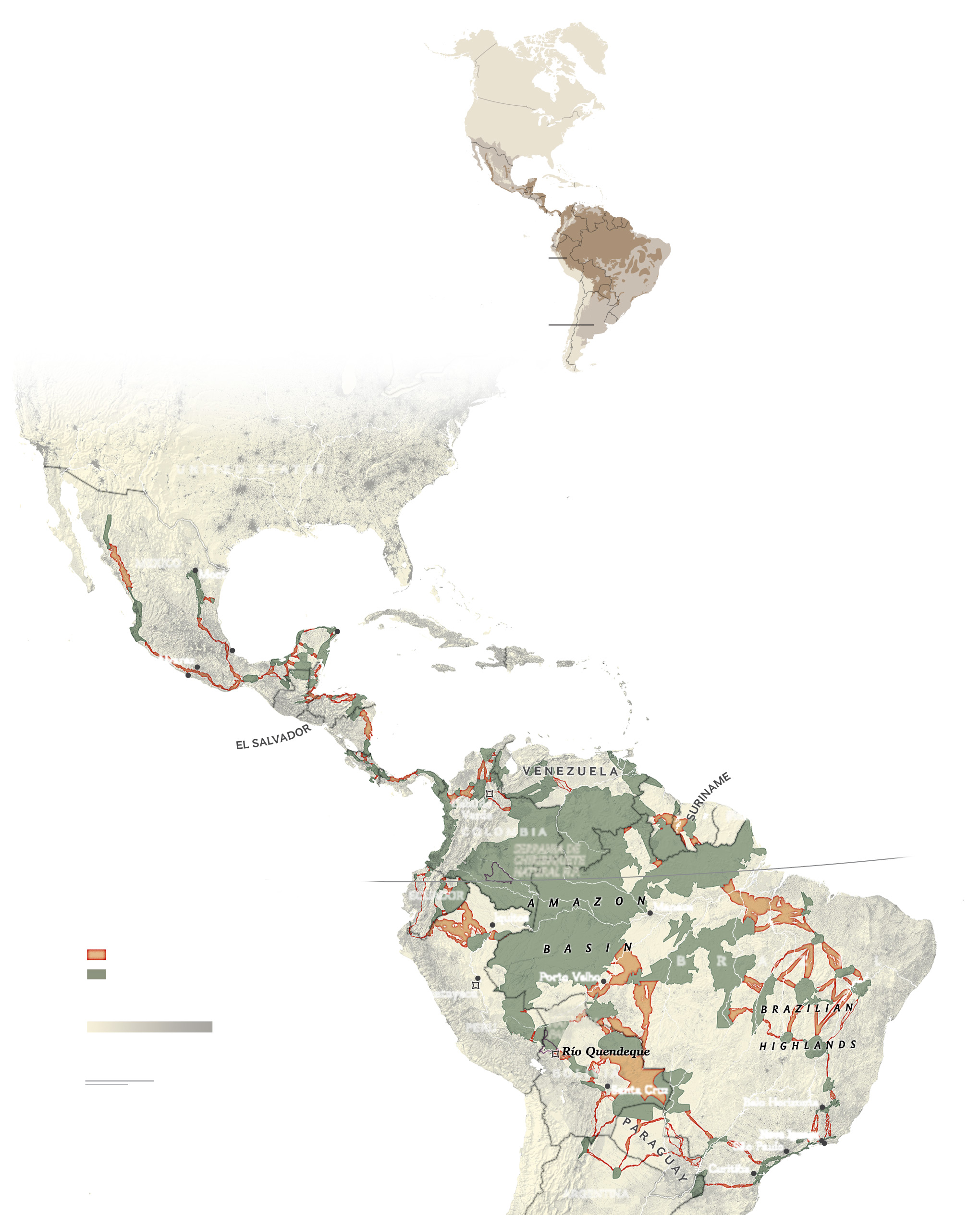 Jaguar – World Wildlife Info