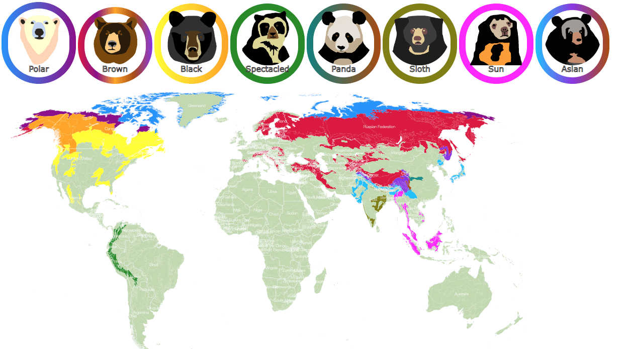 Bears – World Wildlife Info